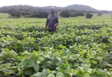 Lancelot Malambo | Conservation Farming Unit