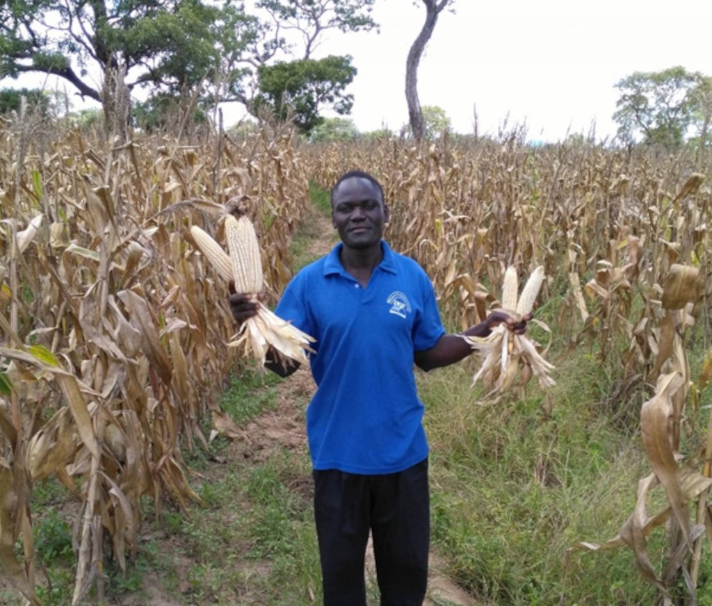 Mr. Zilole Zulu | Conservation Farming Unit (CFU)
