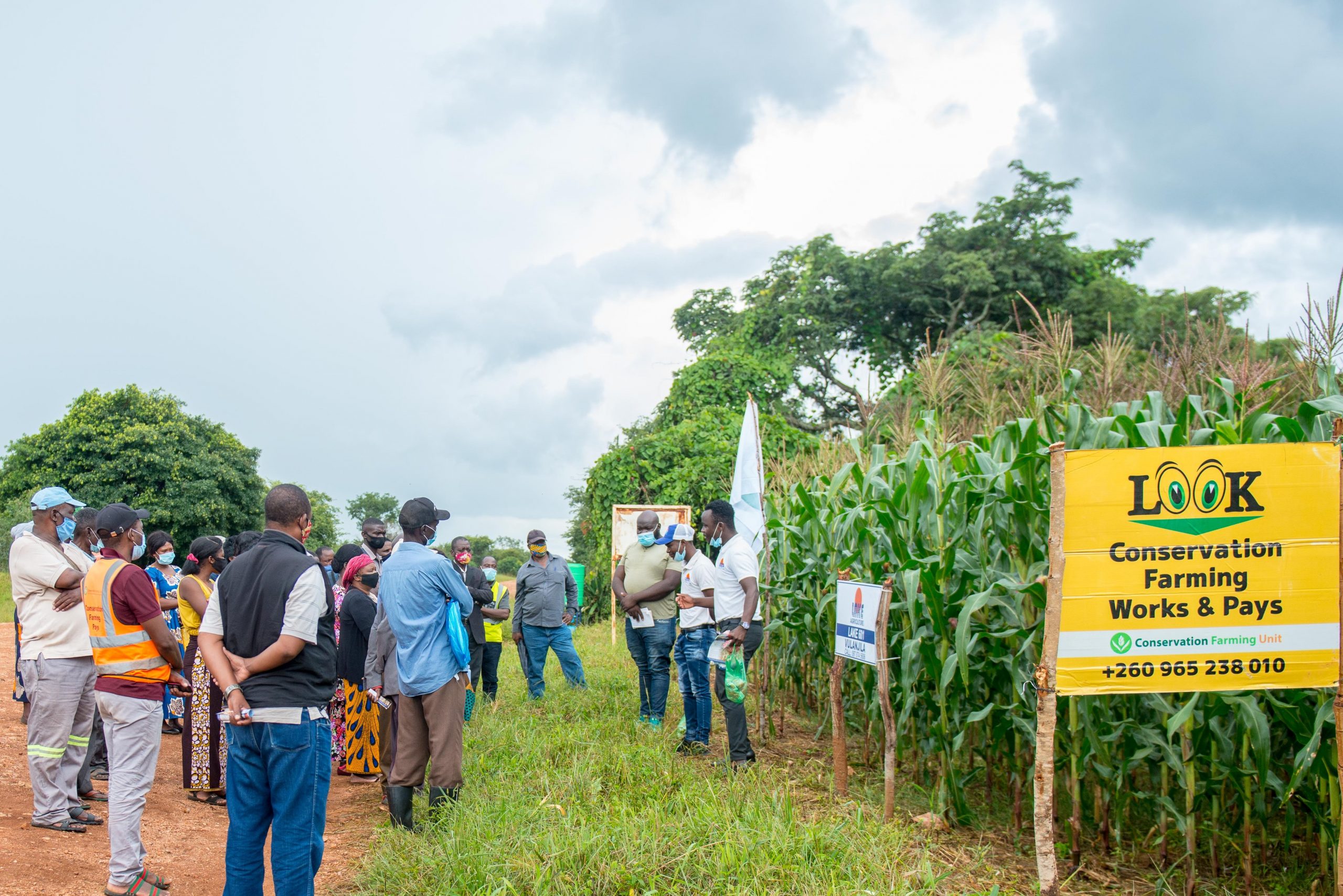 ATTEND ONE OF OUR +4,000 FIELD DAYS | Conservation Farming Unit (CFU)