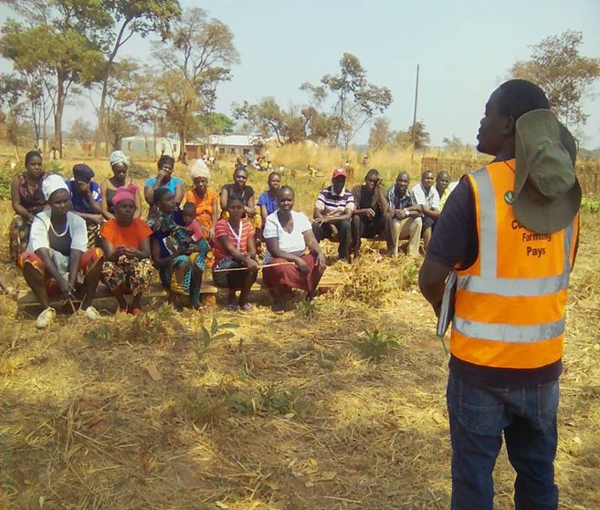 News and Events | Conservation Farming Unit