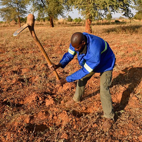 Our Work | Conservation Farming Unit